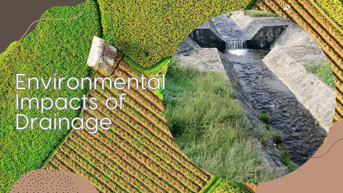 Environmental Impacts of Drainage: A Closer Look at Potential Concerns ...