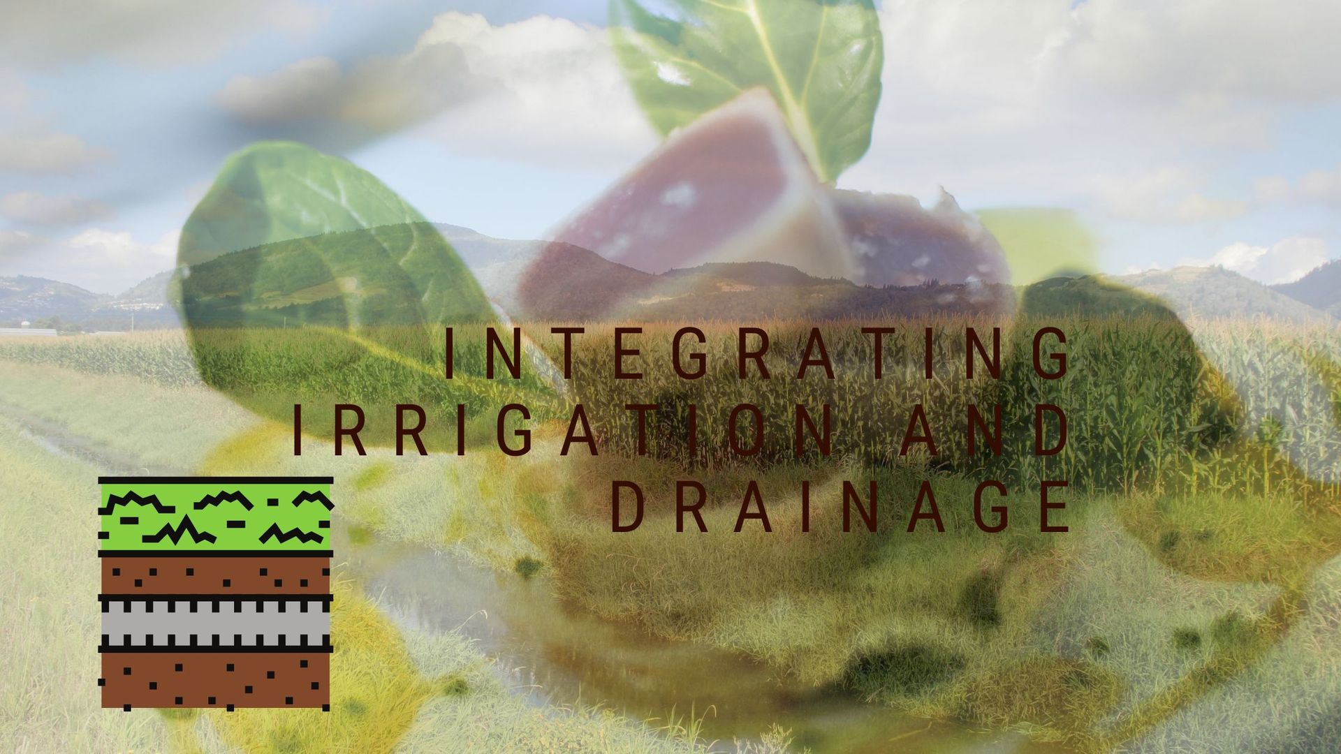 Integrating Irrigation and Drainage: A Holistic Approach to Water ...