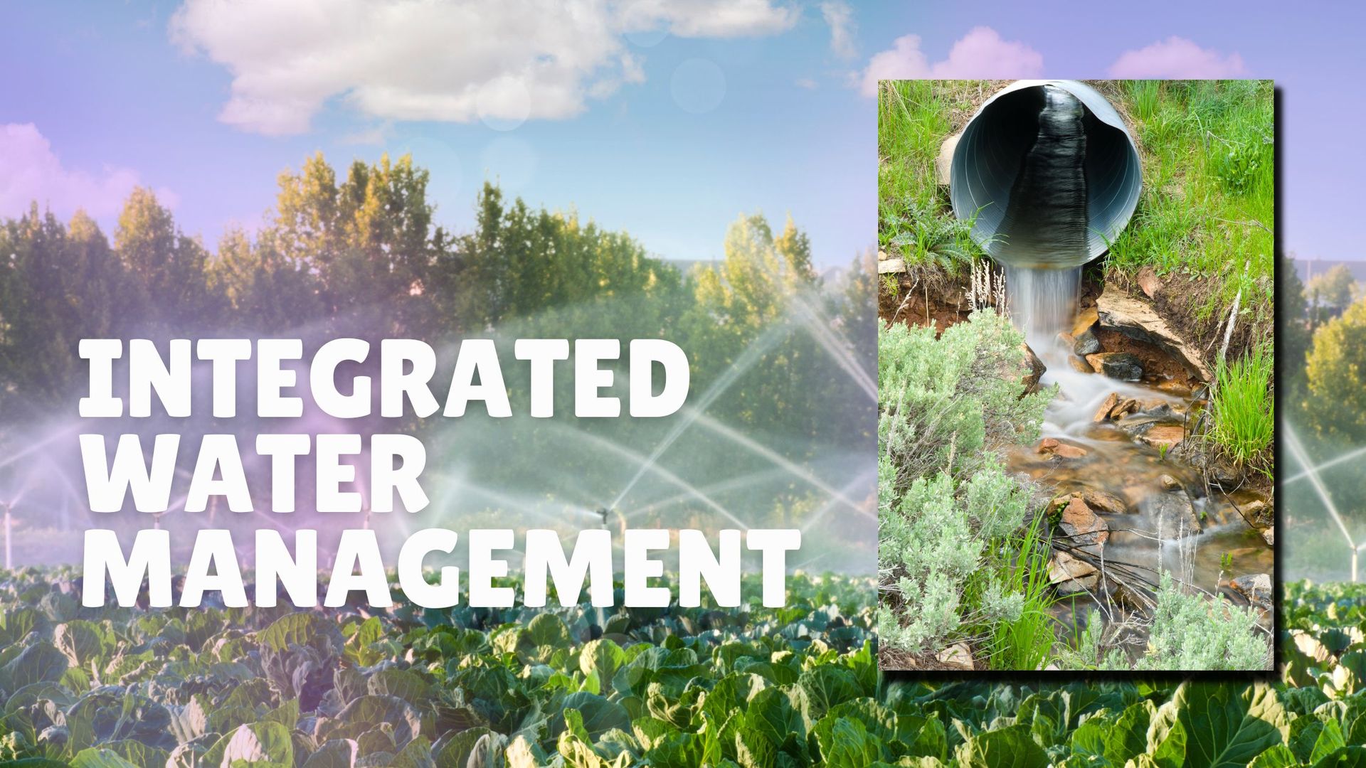 Integrated Water Management: Balancing Irrigation and Drainage for ...