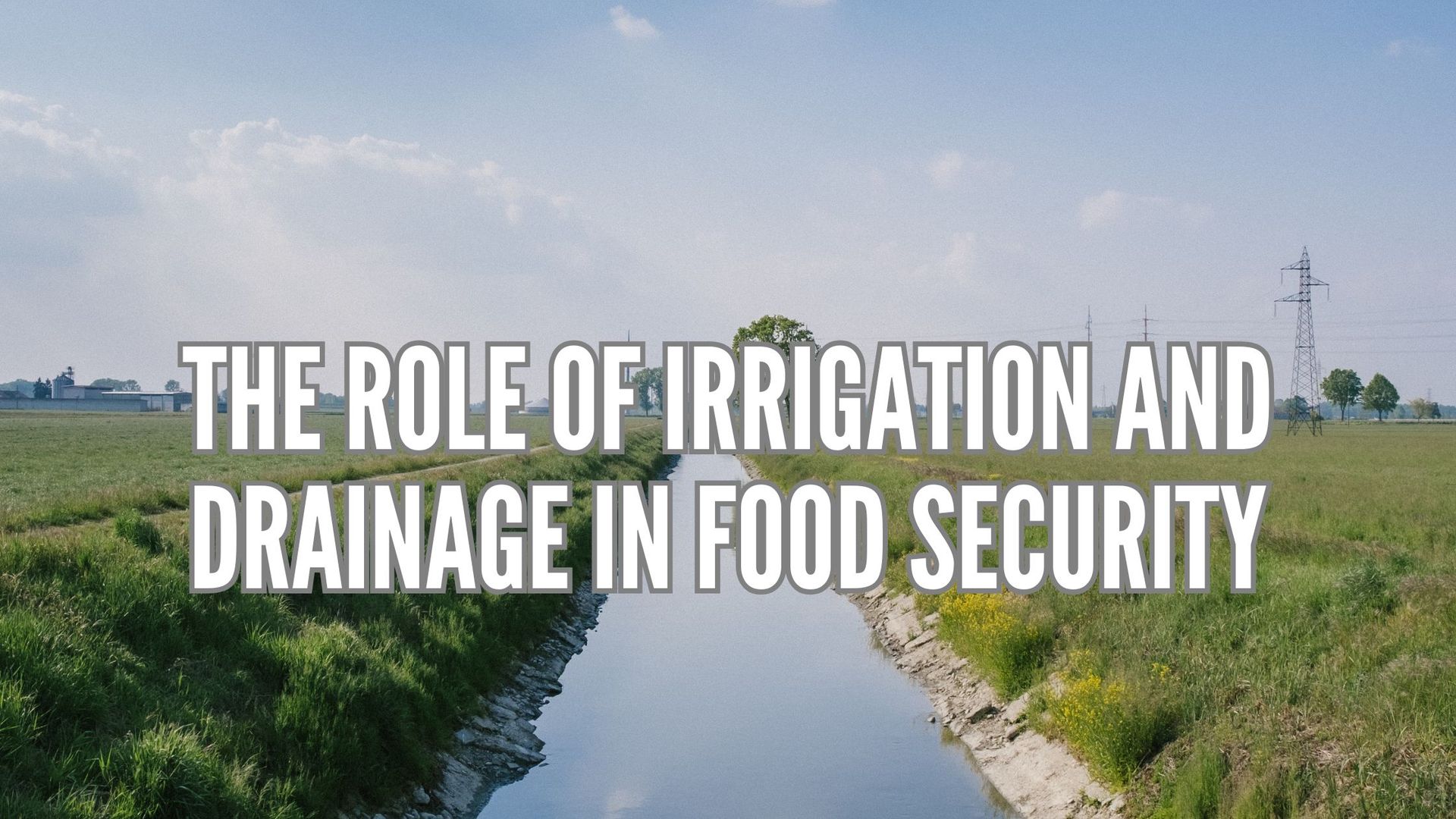 The Role of Irrigation and Drainage in Food Security | Zehab SD